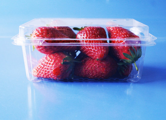 400 grams Disposable plastic strawberry packaging box PET food grade fruit packaging box Made in China