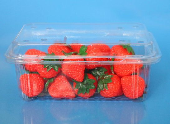 400 grams Disposable plastic strawberry packaging box PET food grade fruit packaging box Made in China