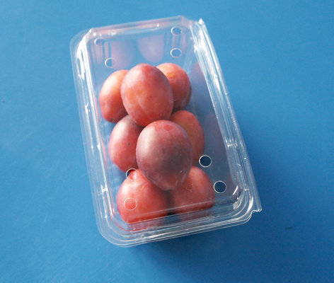 400 grams Disposable plastic strawberry packaging box PET food grade fruit packaging box Made in China