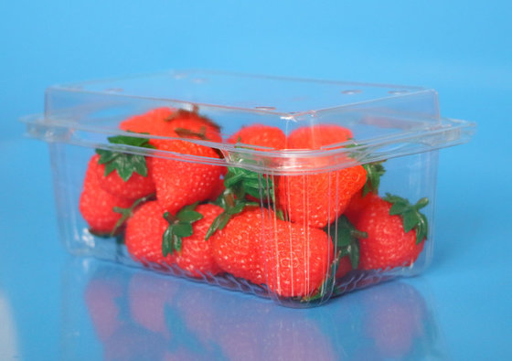 400 grams Disposable plastic strawberry packaging box PET food grade fruit packaging box Made in China