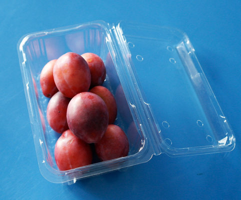 400 grams Disposable plastic strawberry packaging box PET food grade fruit packaging box Made in China