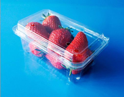 400 grams Disposable plastic strawberry packaging box PET food grade fruit packaging box Made in China