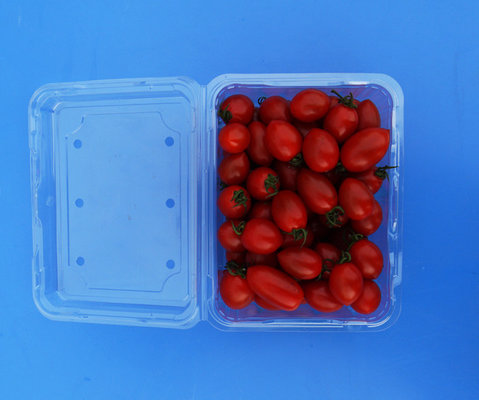 Disposable plastic strawberry grape packaging box PET food grade fruit vegetable packaging box FDA EU Approved