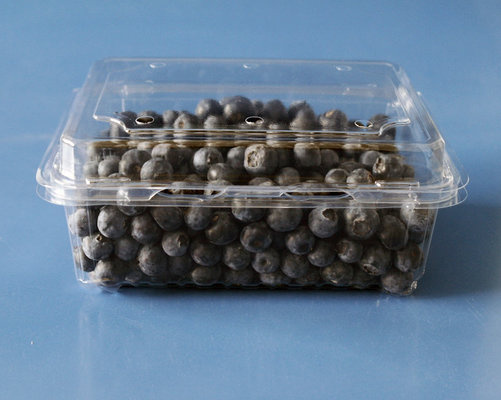 Disposable plastic strawberry grape packaging box PET food grade fruit vegetable packaging box FDA EU Approved