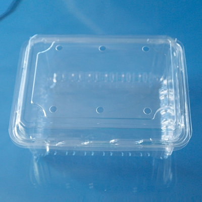 Disposable plastic strawberry grape packaging box PET food grade fruit vegetable packaging box FDA EU Approved