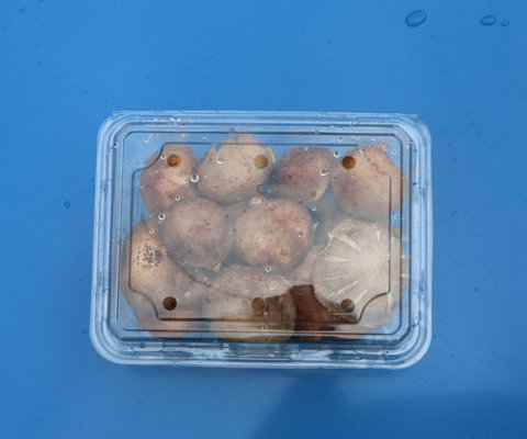 Disposable plastic strawberry grape packaging box PET food grade fruit vegetable packaging box FDA EU Approved