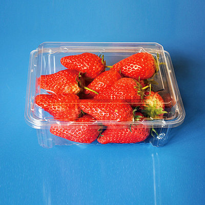 Disposable plastic strawberry grape packaging box PET food grade fruit vegetable packaging box FDA EU Approved