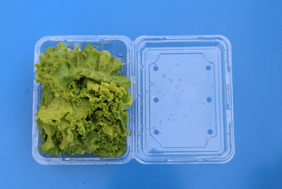 Disposable plastic strawberry grape packaging box PET food grade fruit vegetable packaging box FDA EU Approved