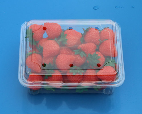 Disposable plastic strawberry grape packaging box PET food grade fruit vegetable packaging box FDA EU Approved