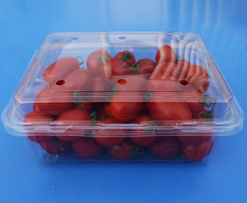 Disposable plastic strawberry grape packaging box PET food grade fruit vegetable packaging box FDA EU Approved