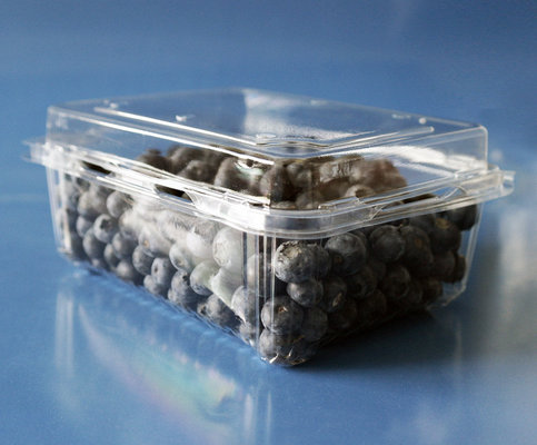 Disposable plastic strawberry grape packaging box PET food grade fruit vegetable packaging box FDA EU Approved