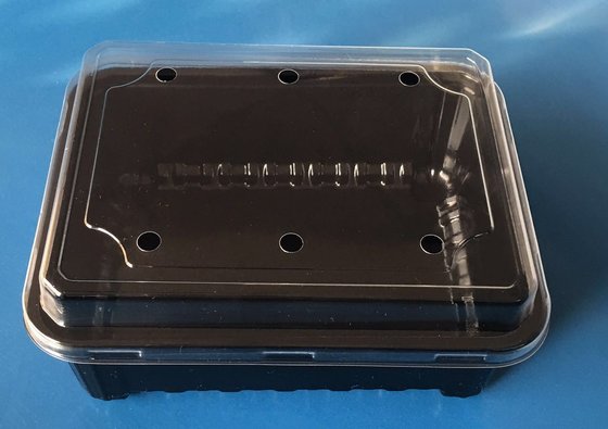 Disposable plastic strawberry grape packaging box PET food grade fruit vegetable packaging box FDA EU Approved