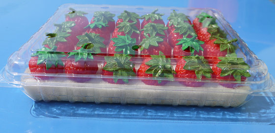 Good quality Disposable plastic strawberry packaging box PET food grade fruit packaging box FDA EU Approved