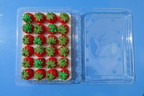 Good quality Disposable plastic strawberry packaging box PET food grade fruit packaging box FDA EU Approved
