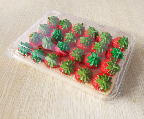 Disposable plastic strawberry packaging box PET food grade fruit blueberry strawberry 500g packaging box FDA EU Approved