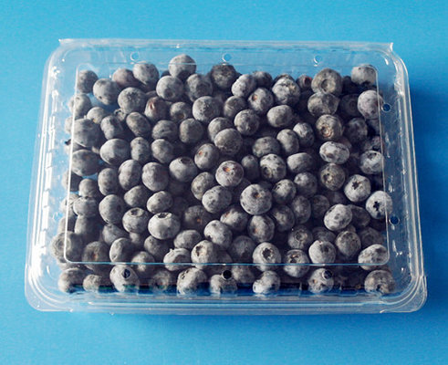 Disposable plastic strawberry packaging box PET food grade fruit blueberry strawberry 500g packaging box FDA EU Approved