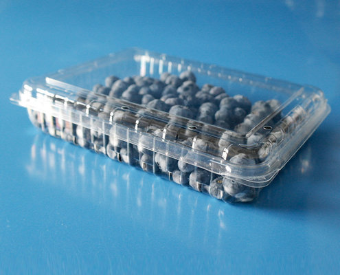 Disposable plastic strawberry packaging box PET food grade fruit blueberry strawberry 500g packaging box FDA EU Approved