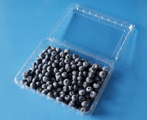 Disposable plastic strawberry packaging box PET food grade fruit blueberry strawberry 500g packaging box FDA EU Approved
