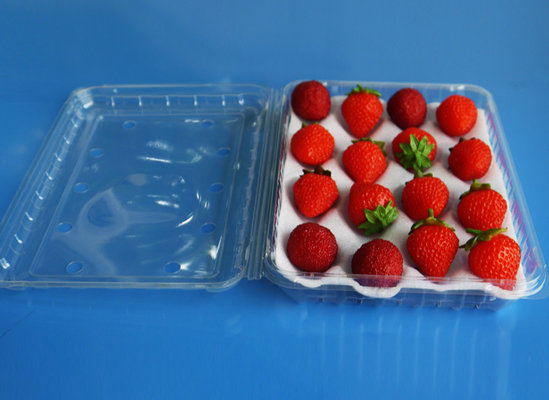 Disposable plastic strawberry packaging box PET food grade fruit blueberry strawberry 500g packaging box FDA EU Approved