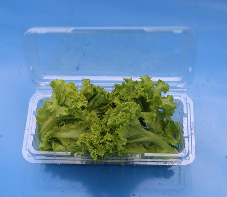 PET Disposable plastic fruit packaging box vegetable packaging box 750 grams packaging box manufactory OEM accepted