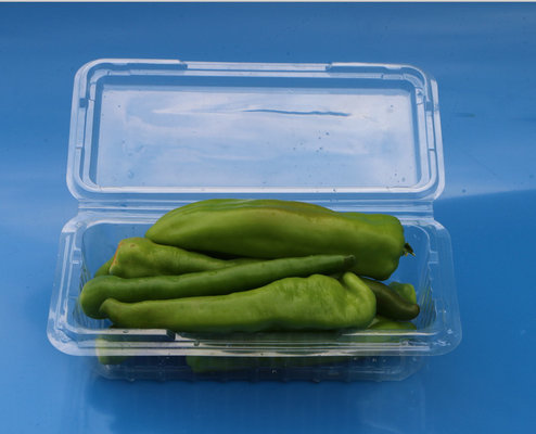 PET Disposable plastic fruit packaging box vegetable packaging box 750 grams packaging box manufactory OEM accepted