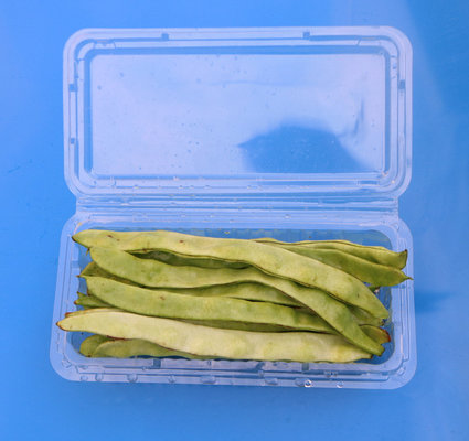 PET Disposable plastic fruit packaging box vegetable packaging box 750 grams packaging box manufactory OEM accepted
