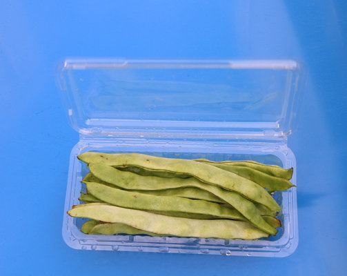 PET Disposable plastic fruit packaging box vegetable packaging box 750 grams packaging box manufactory OEM accepted