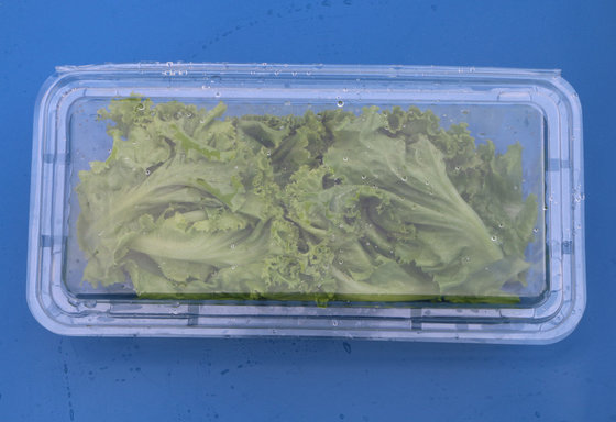 PET Disposable plastic fruit packaging box vegetable packaging box 750 grams packaging box manufactory OEM accepted