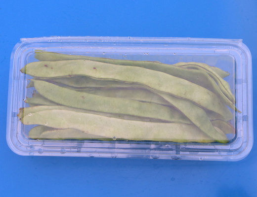 PET Disposable plastic fruit packaging box vegetable packaging box 750 grams packaging box manufactory OEM accepted