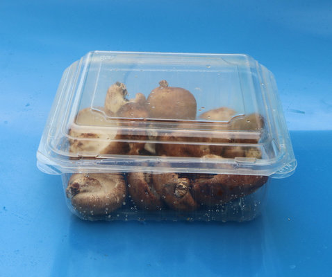 PET Disposable plastic fruit packaging box vegetable packaging box 1000 grams packaging box manufactory OEM accepted