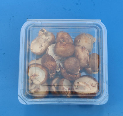 PET Disposable plastic fruit packaging box vegetable packaging box 1000 grams packaging box manufactory OEM accepted