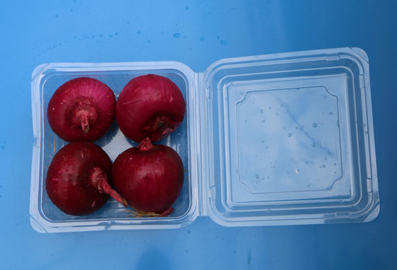 PET Disposable plastic fruit packaging box vegetable packaging box 1000 grams packaging box manufactory OEM accepted