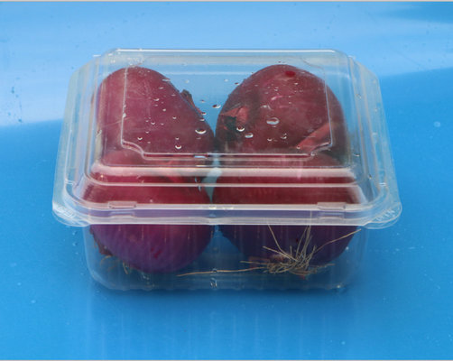 PET Disposable plastic fruit packaging box vegetable packaging box 1000 grams packaging box manufactory OEM accepted