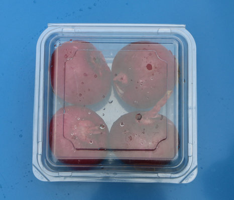 PET Disposable plastic fruit packaging box vegetable packaging box 1000 grams packaging box manufactory OEM accepted