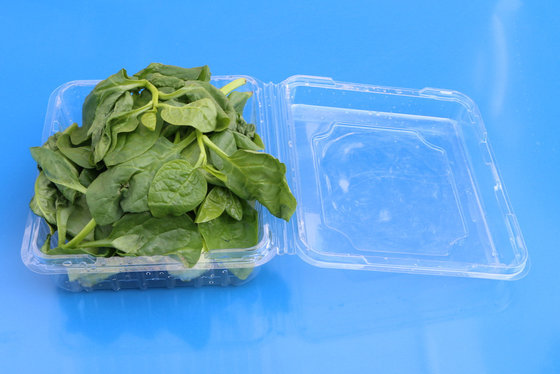 PET Disposable plastic fruit packaging box vegetable packaging box 1000 grams packaging box manufactory OEM accepted
