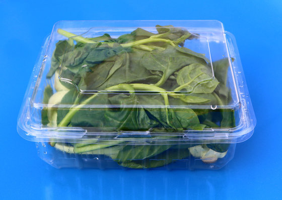 PET Disposable plastic fruit packaging box vegetable packaging box 1000 grams packaging box manufactory OEM accepted