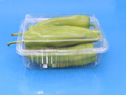 PET Disposable plastic fruit packaging box vegetable packaging box 1000 grams packaging box manufactory OEM accepted