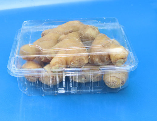 PET Disposable plastic fruit packaging box vegetable packaging box 1000 grams packaging box manufactory OEM accepted