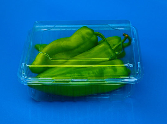 PET Disposable plastic fruit packaging box vegetable packaging box 1000 grams packaging box manufactory OEM accepted