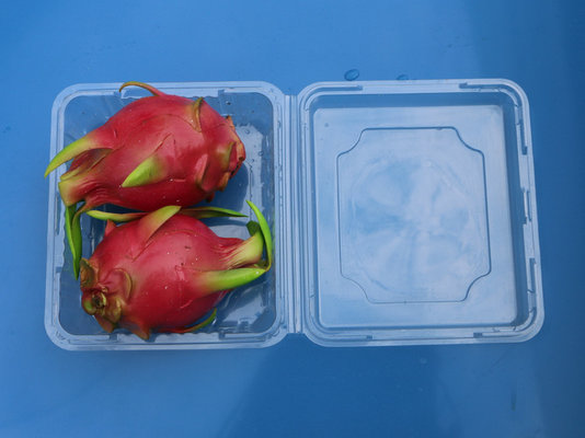 PET Disposable plastic fruit packaging box vegetable packaging box 1000 grams packaging box manufactory OEM accepted