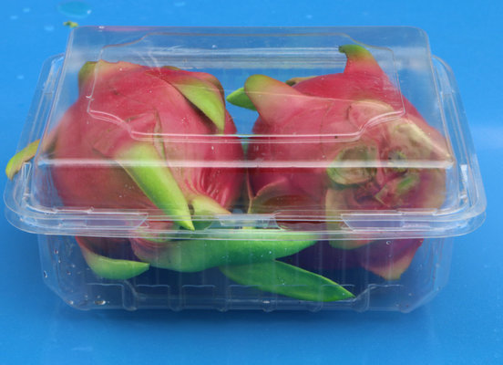 PET Disposable plastic fruit packaging box vegetable packaging box 1000 grams packaging box manufactory OEM accepted