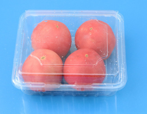 PET Disposable plastic fruit packaging box vegetable packaging box 1000 grams packaging box manufactory OEM accepted