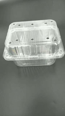 PET Disposable plastic fruit packaging box vegetable packaging box 1000 grams packaging box manufactory OEM accepted
