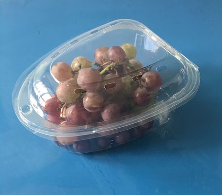 PET Disposable plastic fruit packaging box vegetable packaging box 750 grams packaging box manufactory OEM accepted