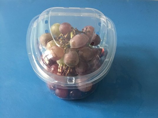 PET Disposable plastic fruit packaging box vegetable packaging box 750 grams packaging box manufactory OEM accepted