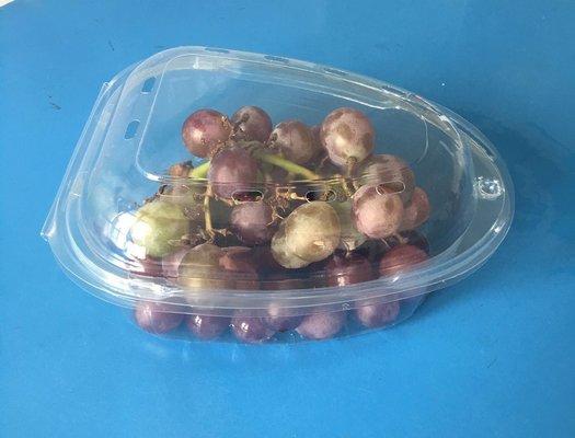 PET Disposable plastic fruit packaging box vegetable packaging box 750 grams packaging box manufactory OEM accepted