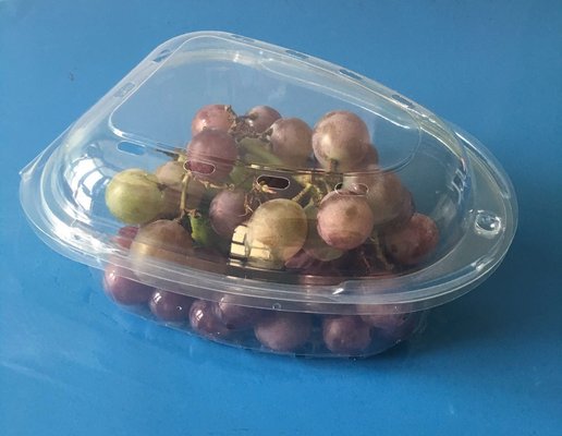 PET Disposable plastic fruit packaging box vegetable packaging box 750 grams packaging box manufactory OEM accepted