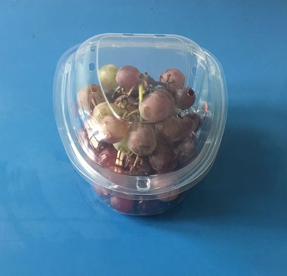PET Disposable plastic fruit packaging box vegetable packaging box 750 grams packaging box manufactory OEM accepted