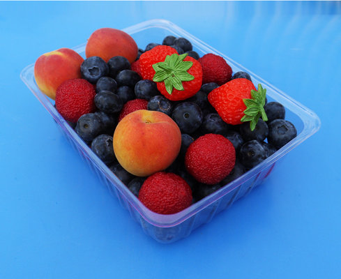 Manufactury Disposable plastic fruit tray 300 grams 500 grams 1000 grams fruit tray Vegetable packaging tray FDA approve