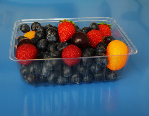 Manufactury Disposable plastic fruit tray 300 grams 500 grams 1000 grams fruit tray Vegetable packaging tray FDA approve